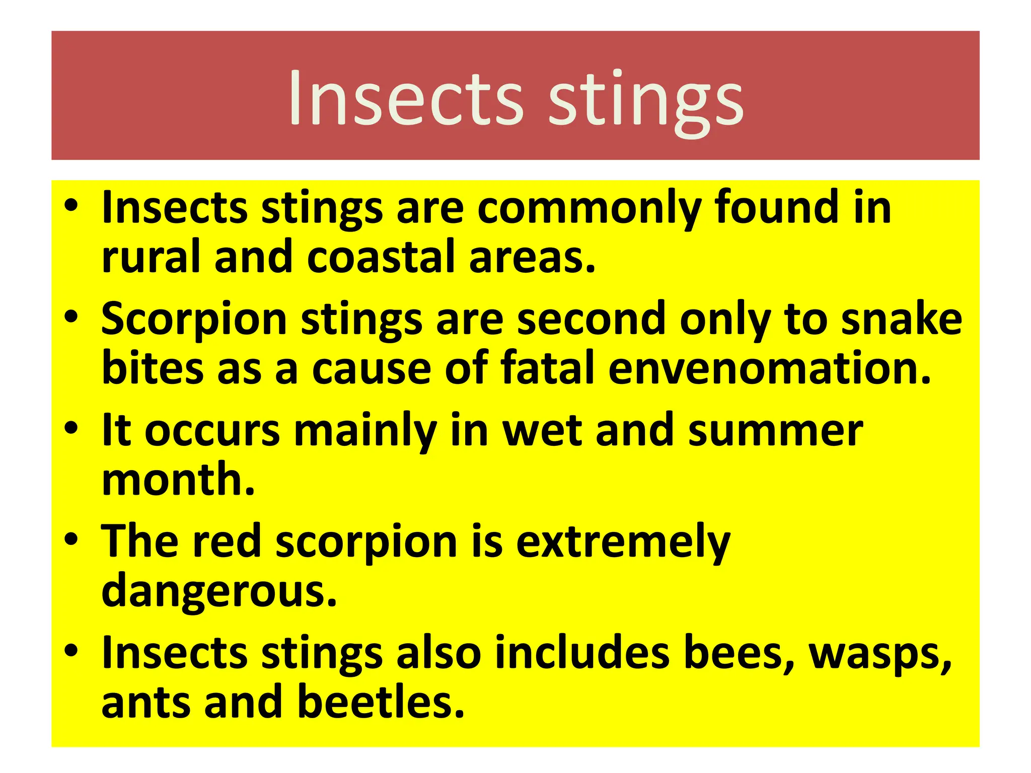 insects bites Child Health Nursing .pptx