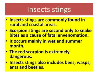 insects bites Child Health Nursing .pptx