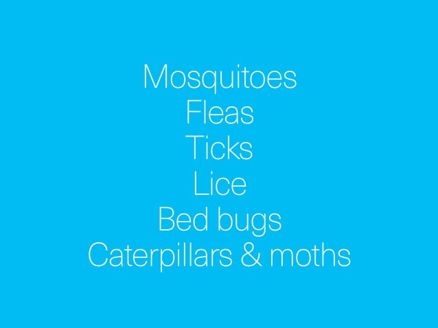 Insects Bites & Stings-Papular Urticaria | PPT | Free Download