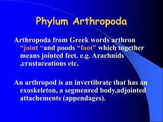 Insects study (Entomology) | PPT