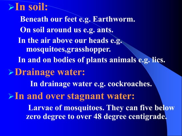 Insects study (Entomology) | PPT
