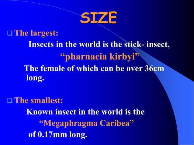 Insects study (Entomology) | PPT