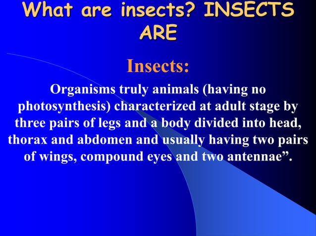 Insects study (Entomology) | PPT | Free Download