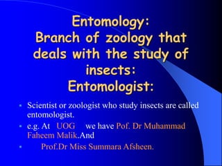 Insects study (Entomology) | PPT