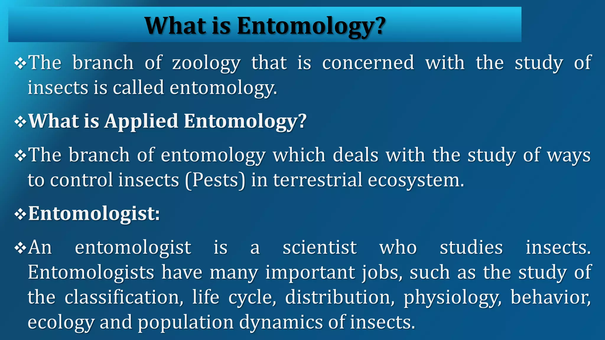 Insects classification | PPTX