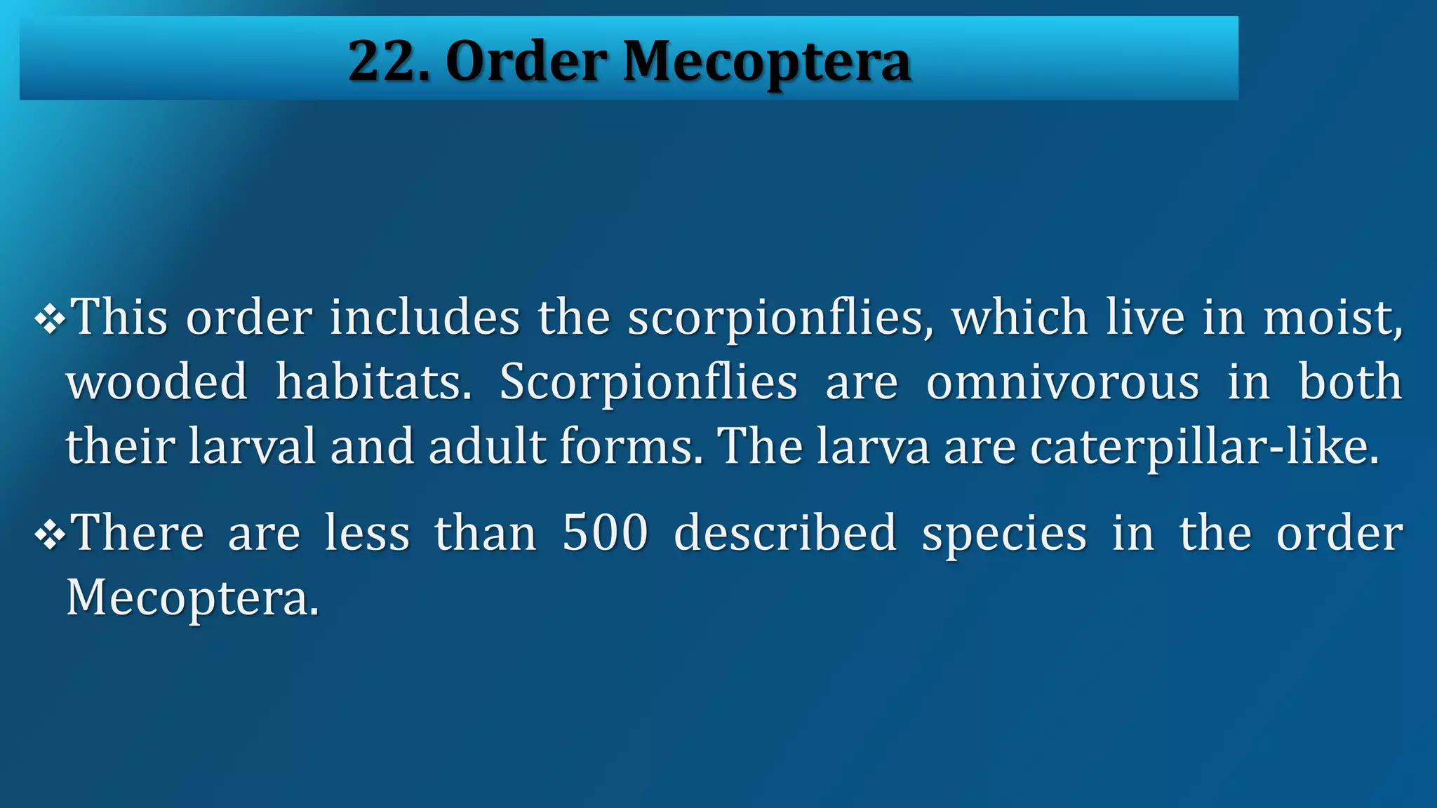 Insects classification | PPTX