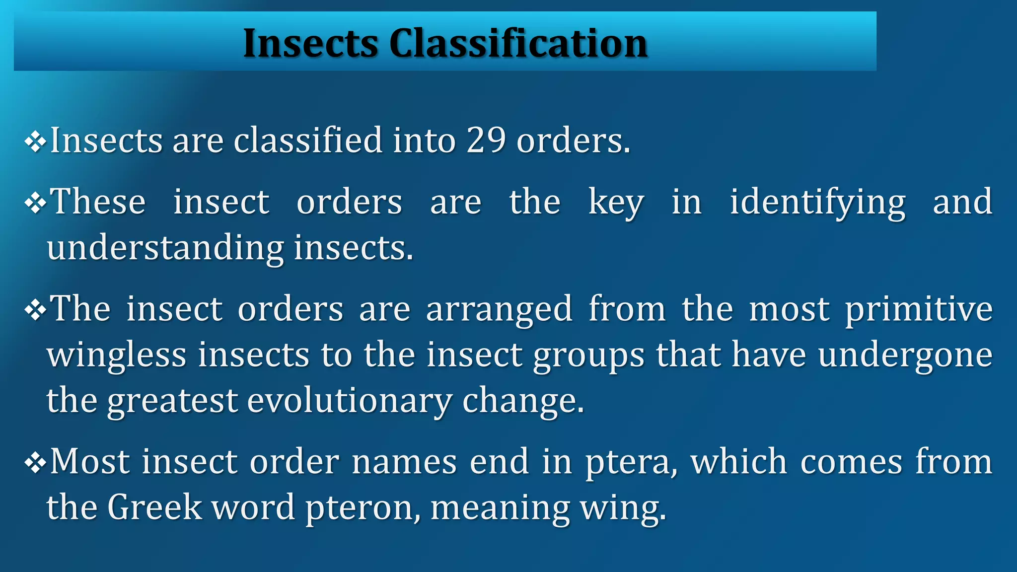 Insects classification | PPTX