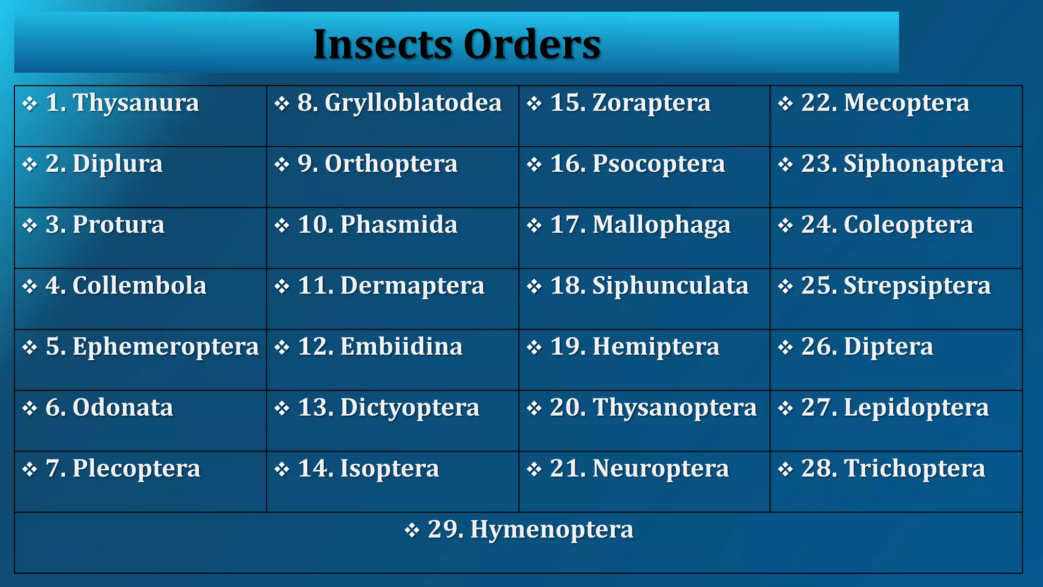 Insects classification | PPTX