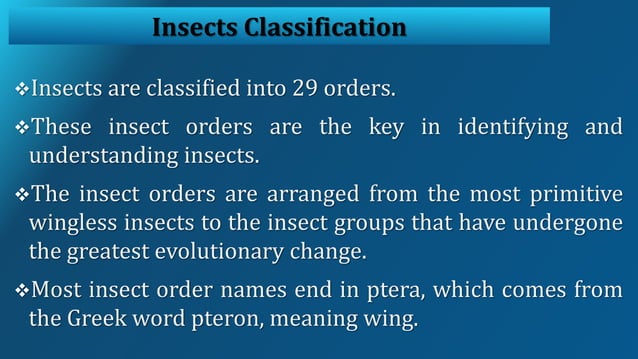 Insects classification | PPTX | Birdwatching | Hobbies & Interests