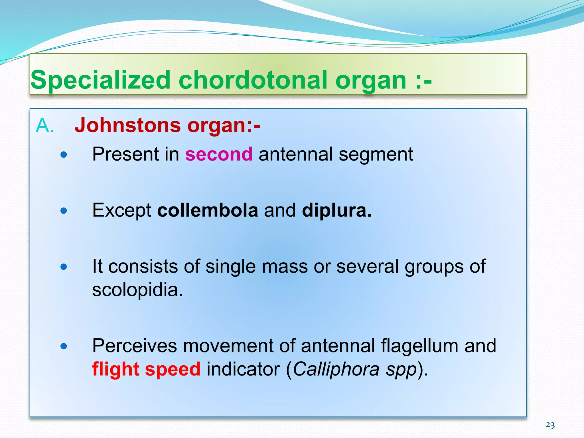 Insect sense organs | PPTX