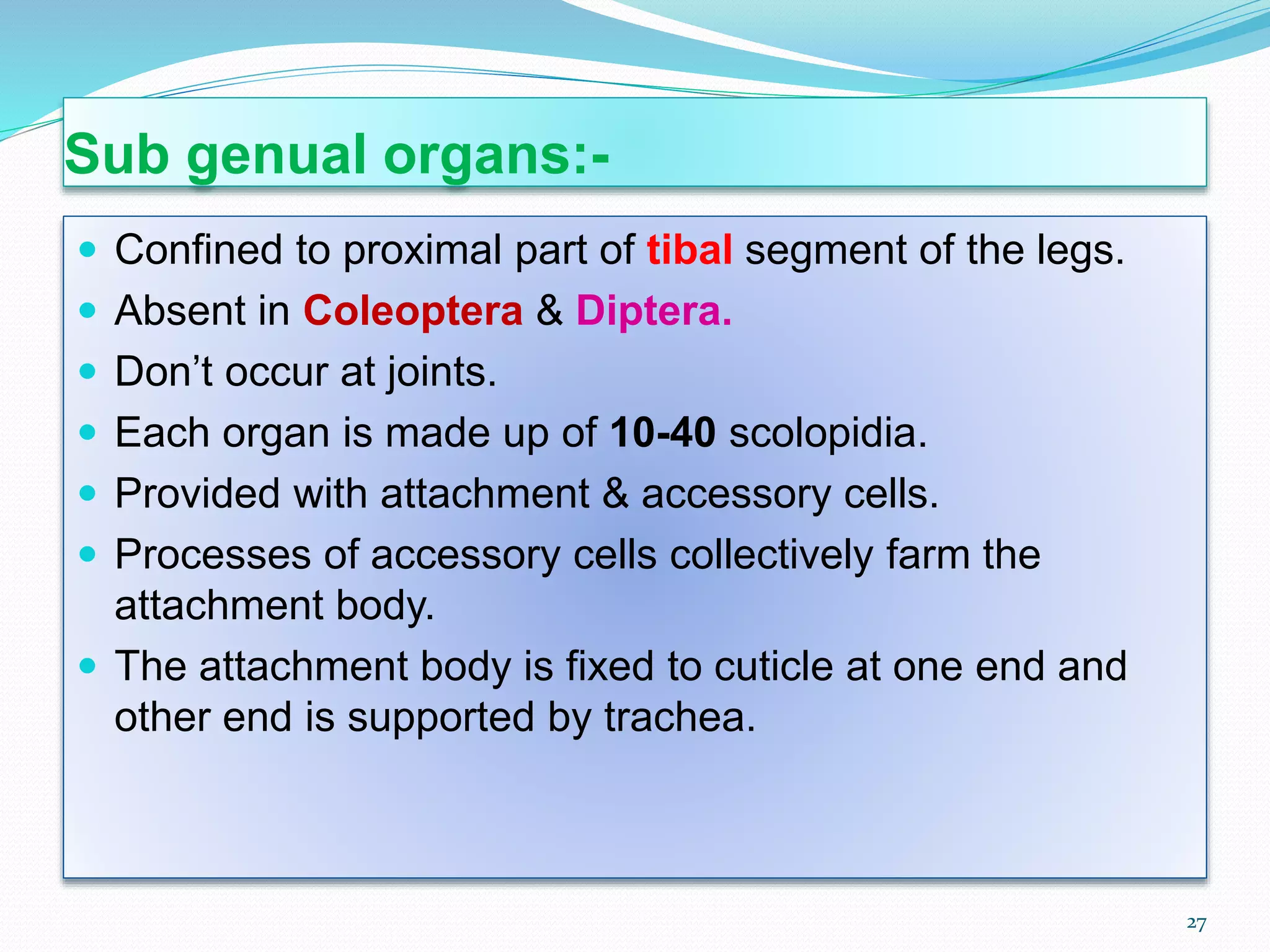 Insect sense organs | PPTX