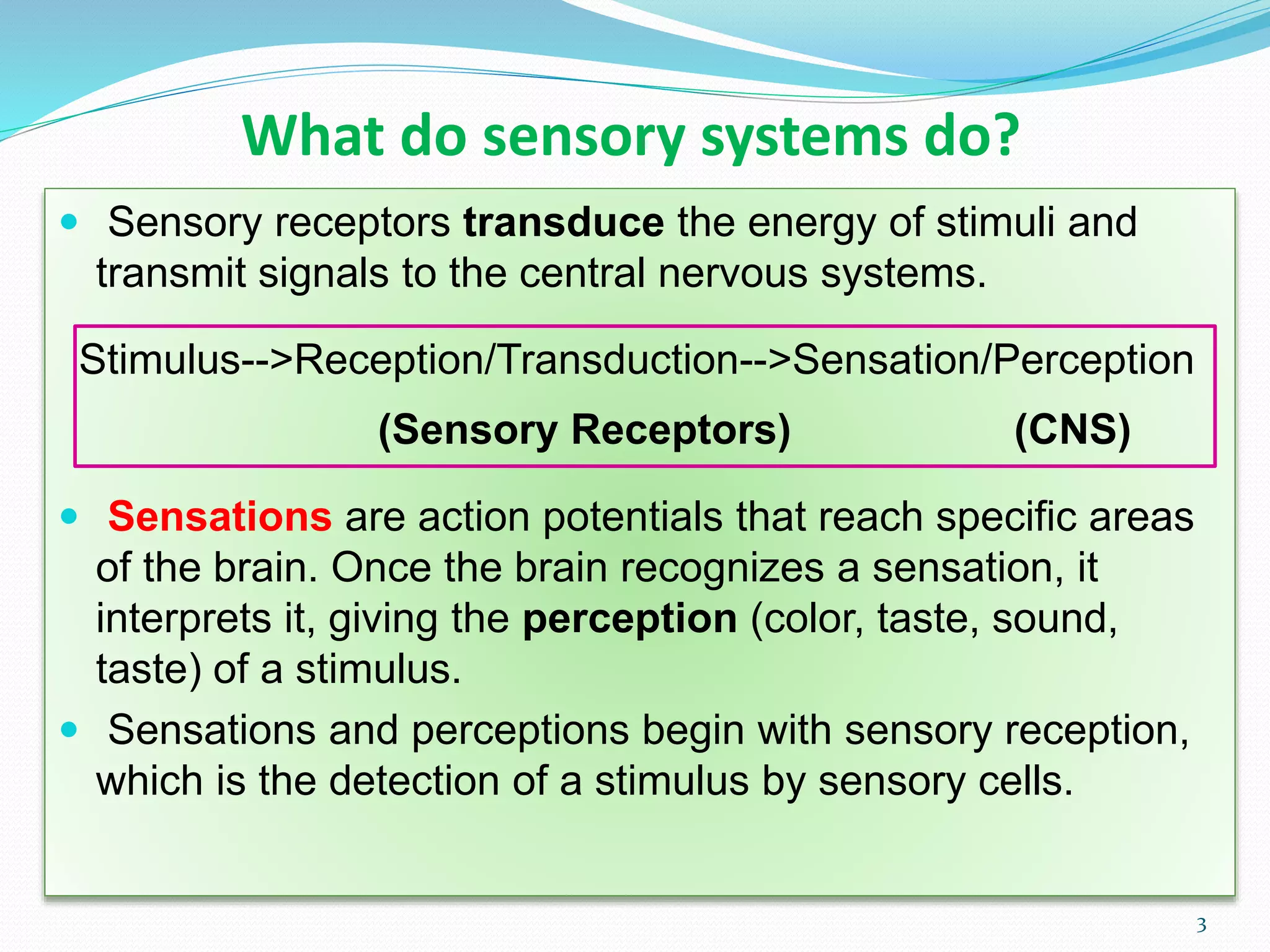 Insect sense organs | PPTX