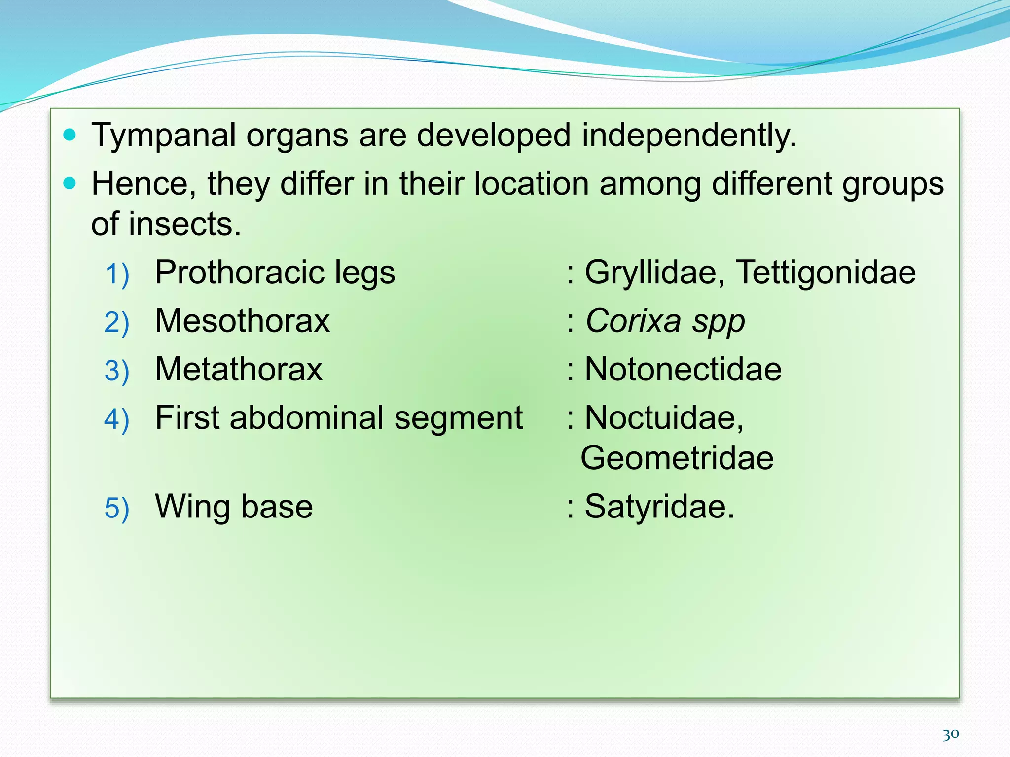 Insect sense organs | PPTX