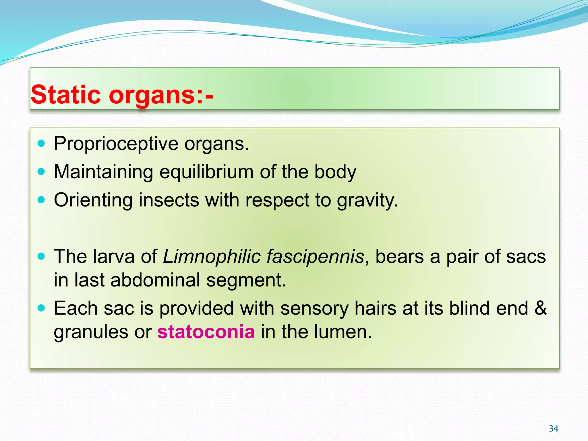 Insect sense organs | PPTX