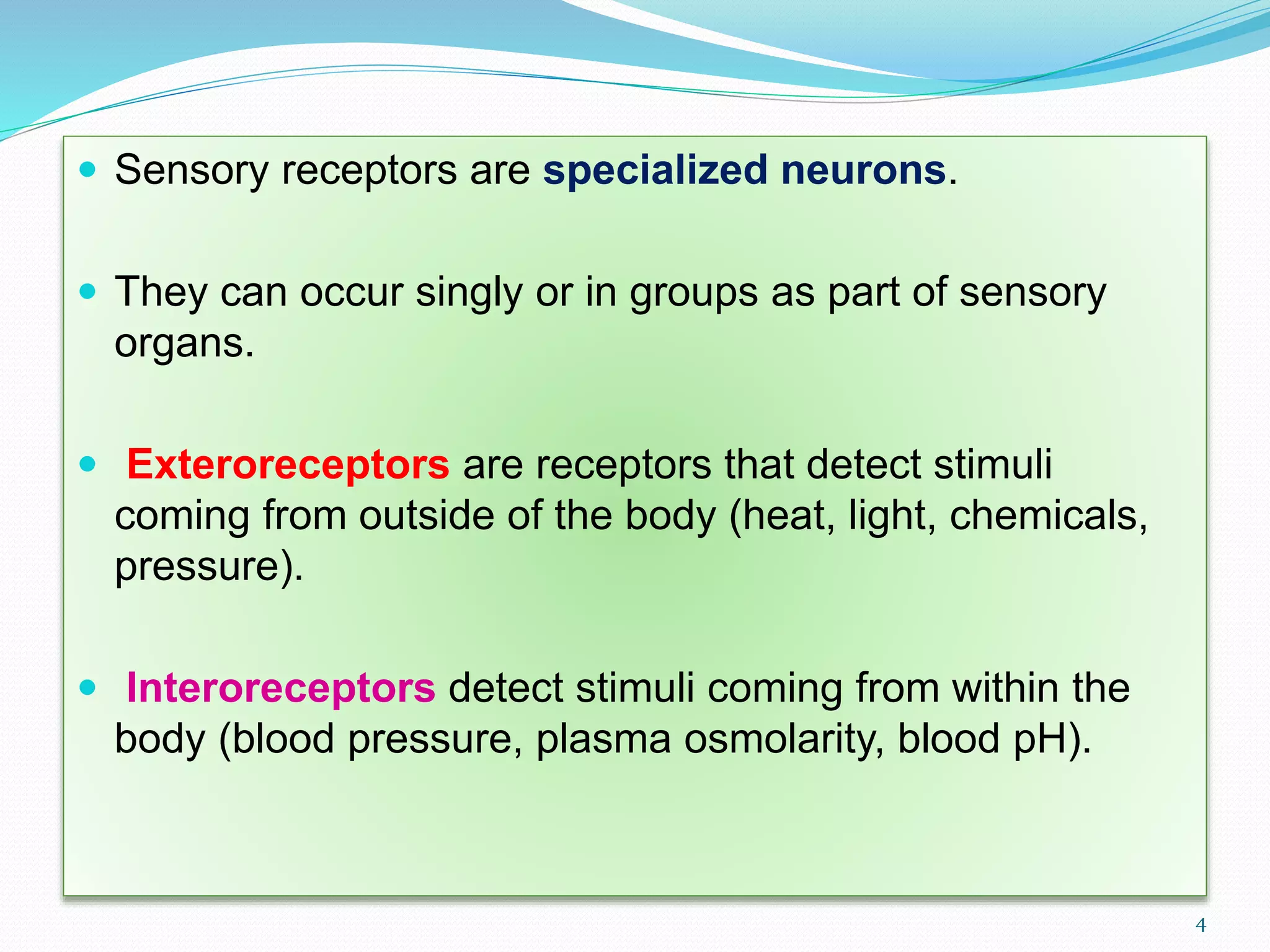 Insect sense organs | PPTX