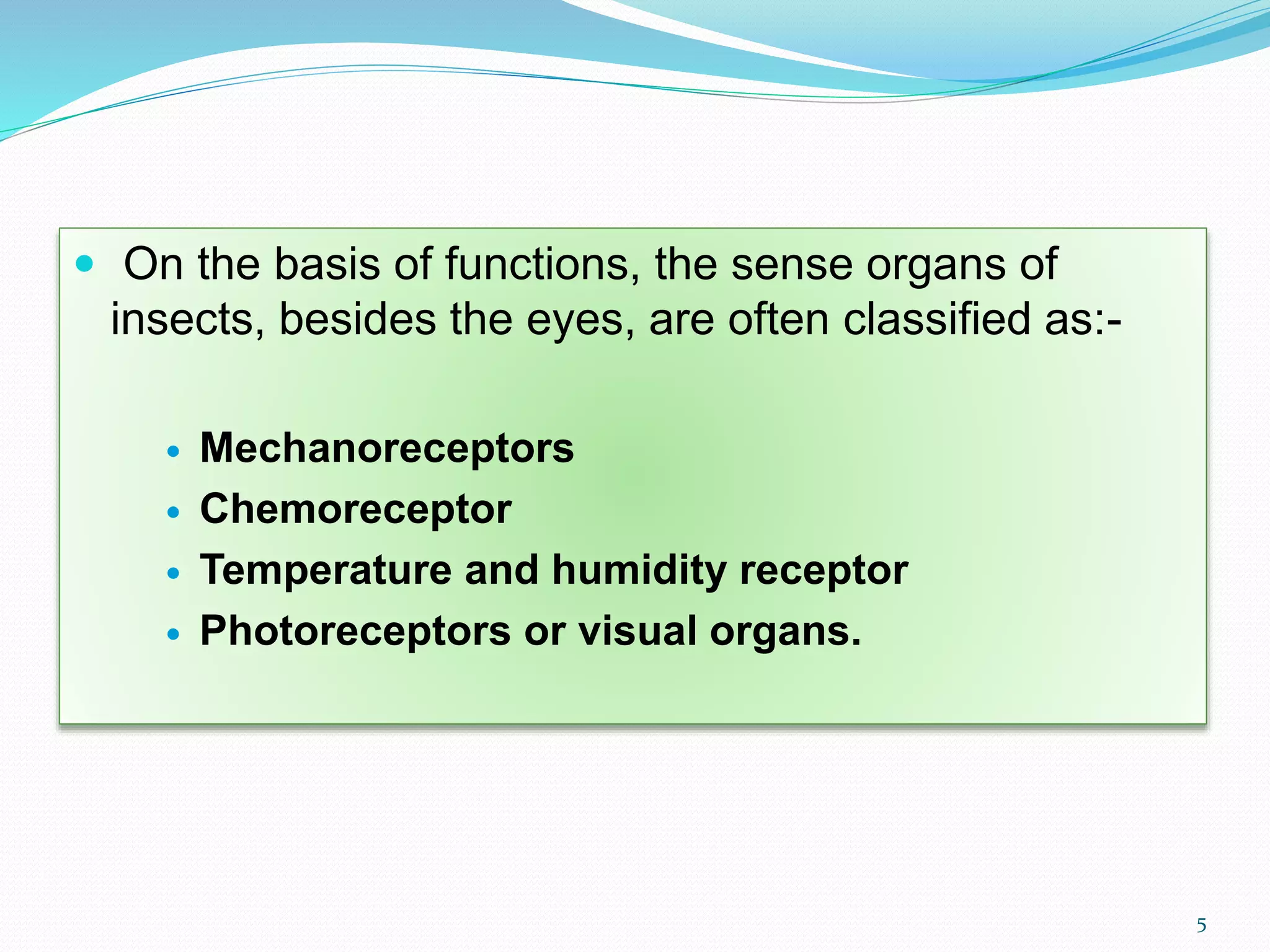 Insect sense organs | PPTX