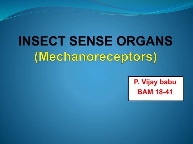 Insect sense organs | PPTX | Computer Peripherals | Computing