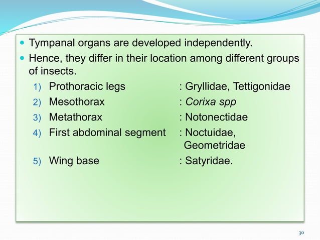 Insect sense organs | PPTX | Computer Peripherals | Computing