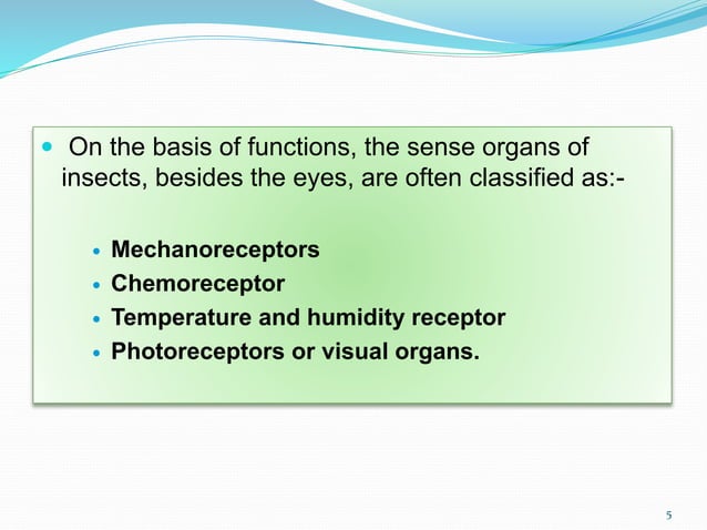 Insect sense organs | PPTX | Computer Peripherals | Computing
