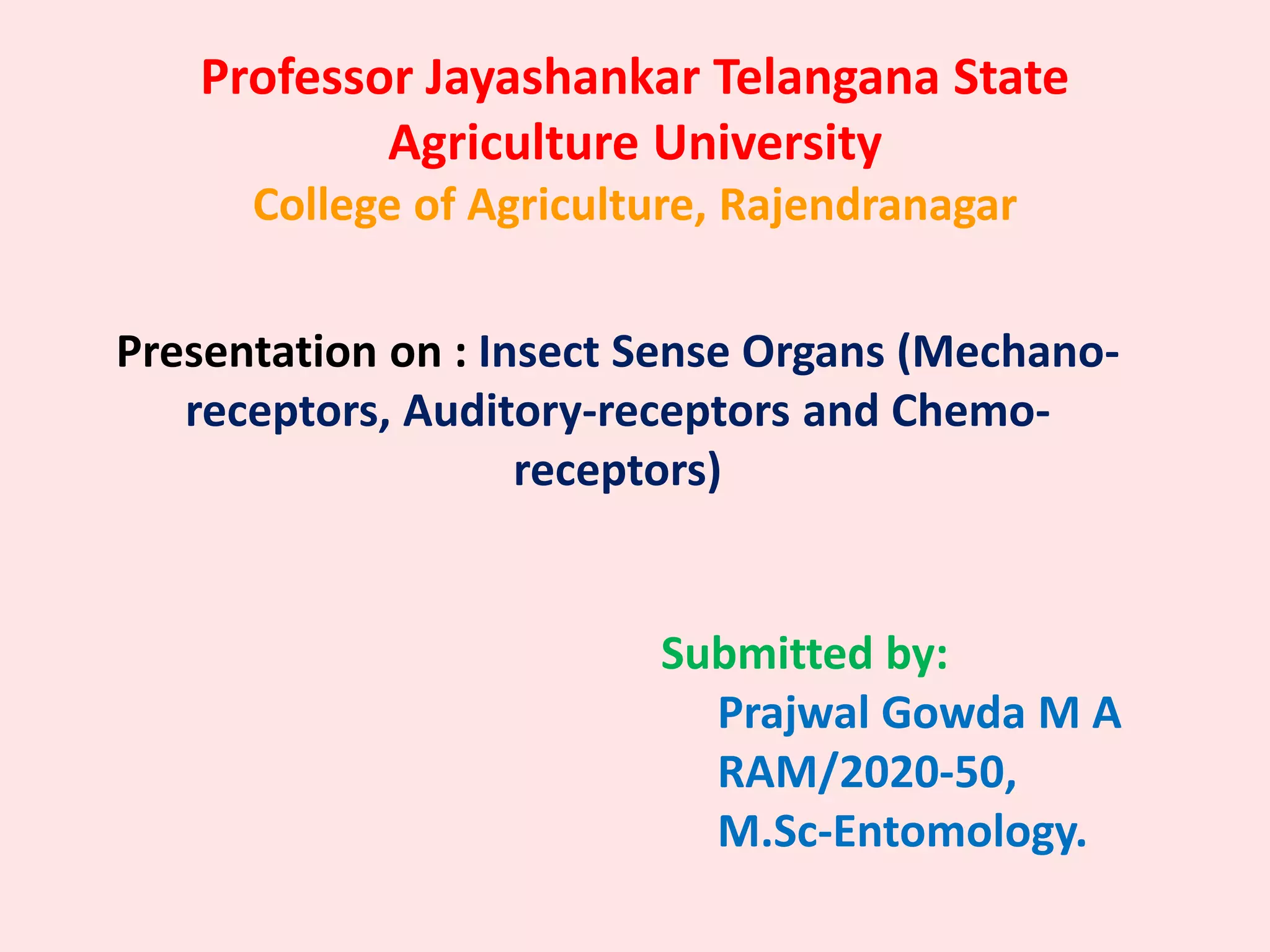 Insect Sense Organs.pptx
