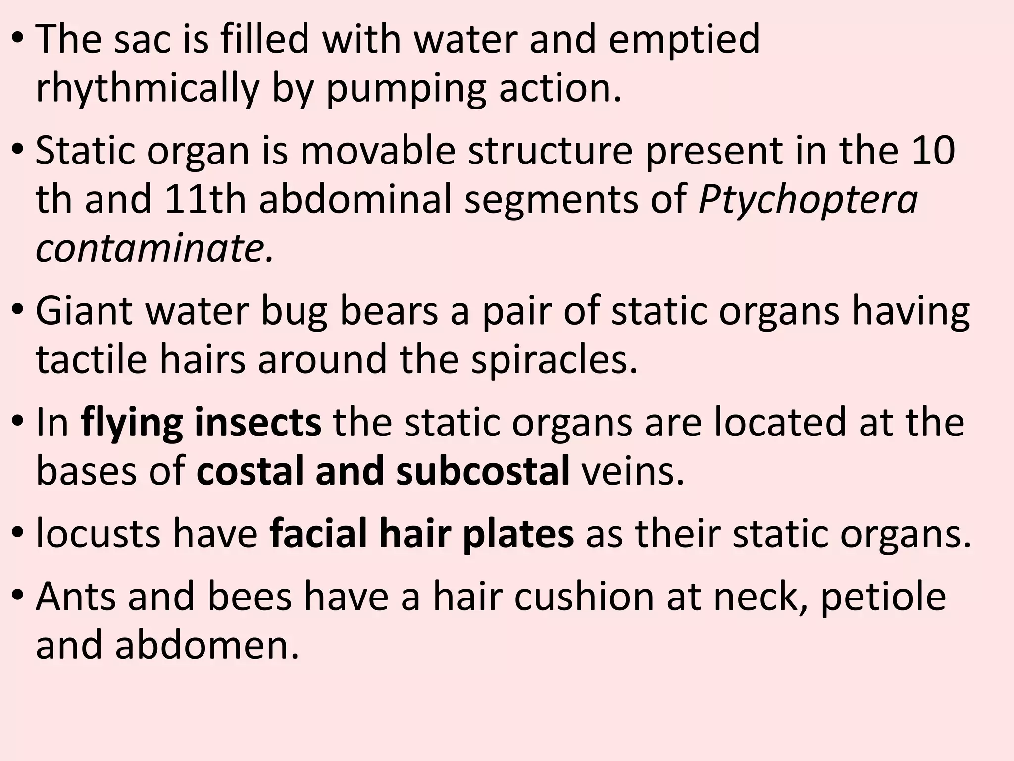 Insect Sense Organs.pptx