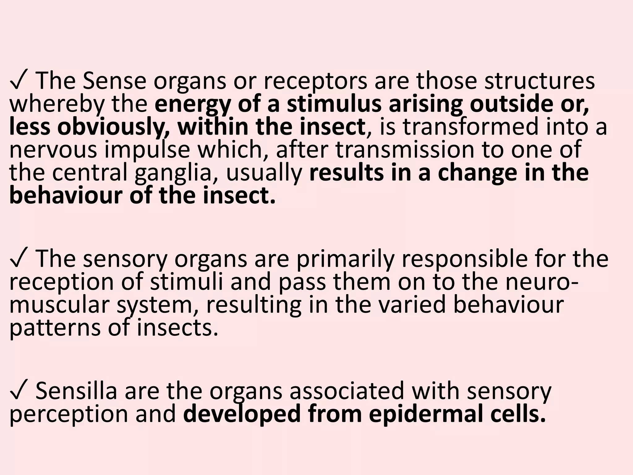 Insect Sense Organs.pptx