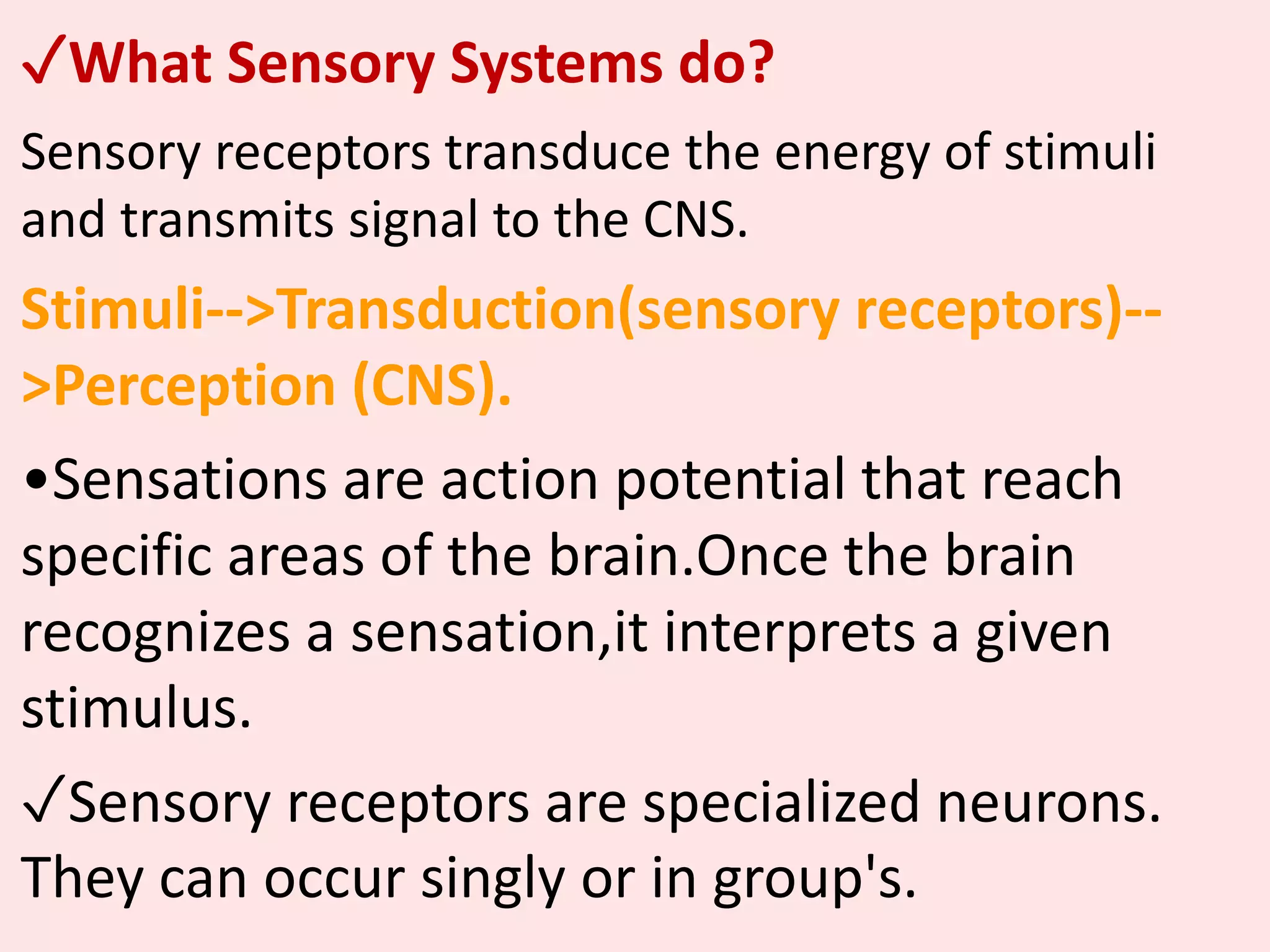 Insect Sense Organs.pptx