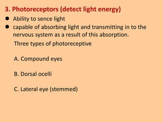Insect Sensory organs. complete ppt.Banda University of agriculture and ...
