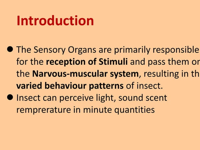 Insect Sensory organs. complete ppt.Banda University of agriculture and ...