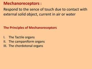Insect Sensory organs. complete ppt.Banda University of agriculture and ...