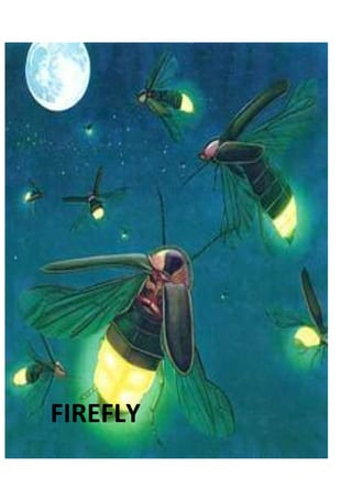 Insects flashcards | PDF