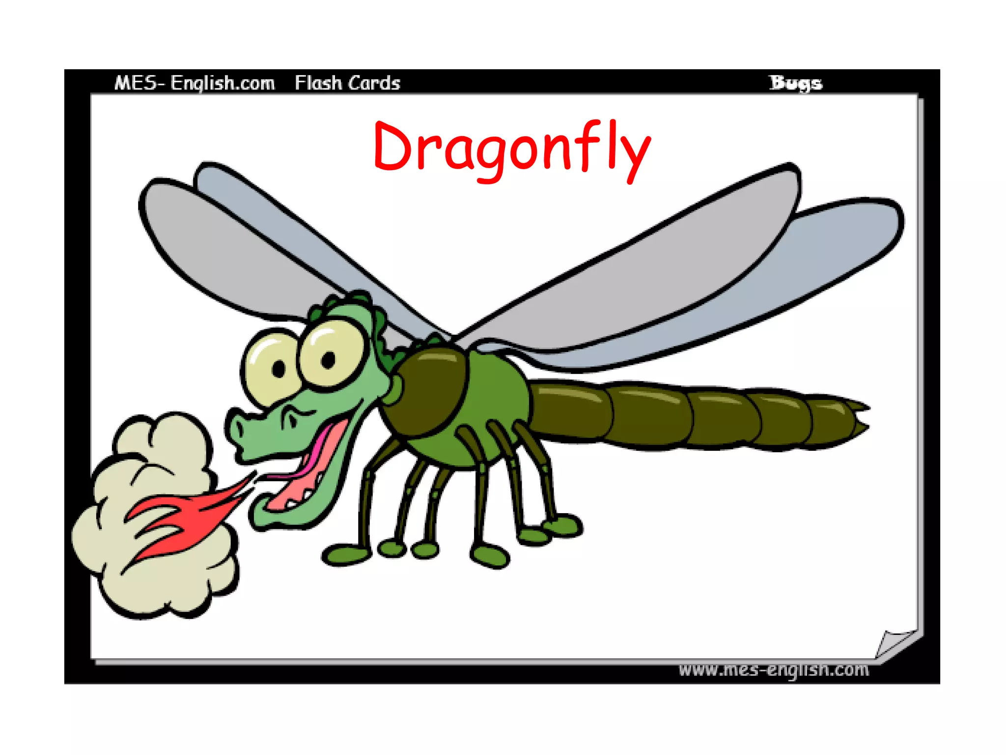 Insects in english (insetos em inglês) | PPT