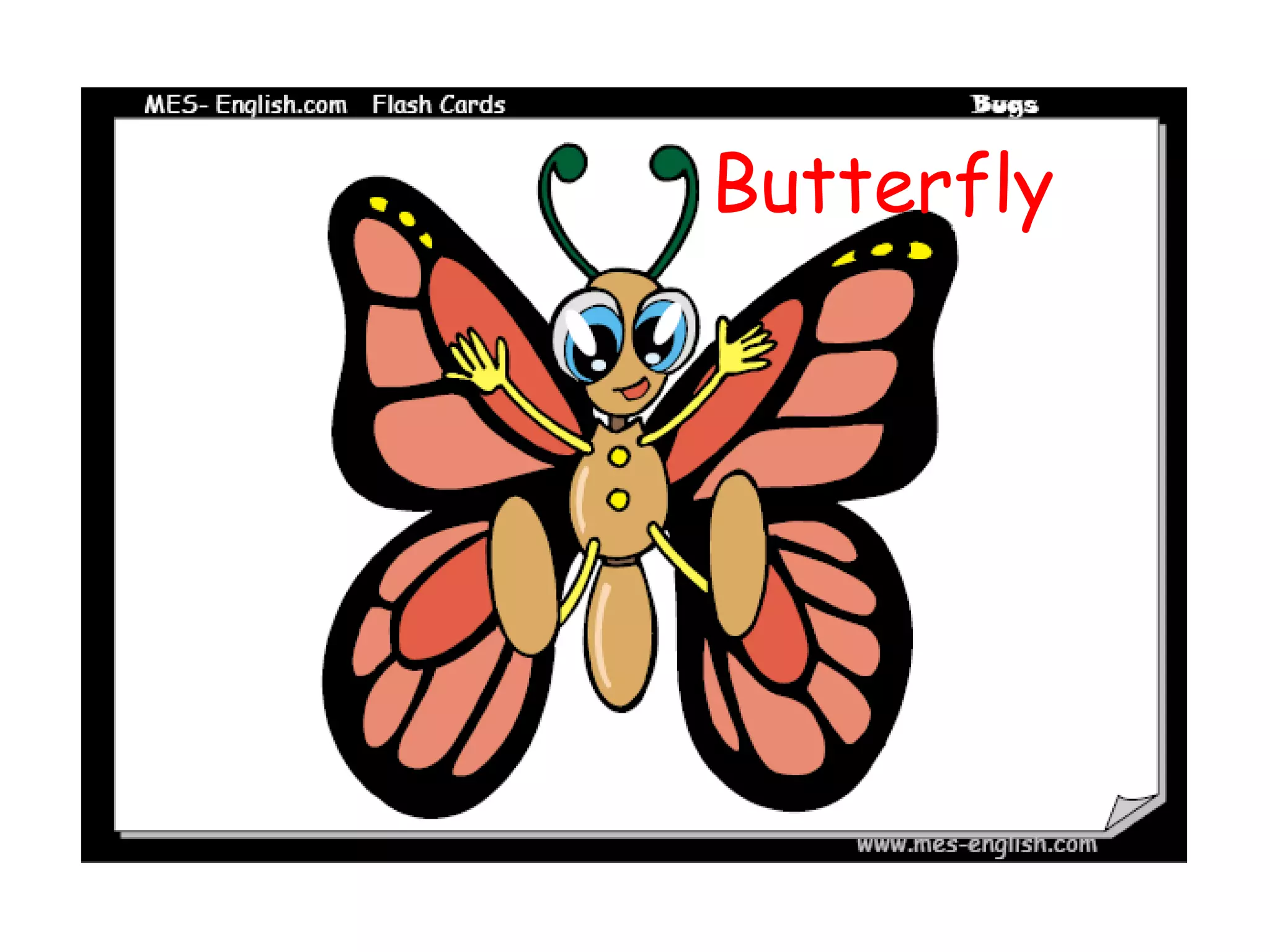 Insects in english (insetos em inglês) | PPT