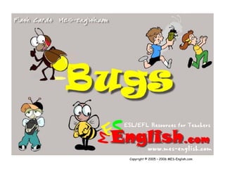 Insects in english (insetos em inglês) | PPT