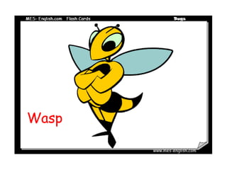 Insects in english (insetos em inglês) | PPT