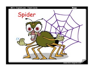 Insects in english (insetos em inglês) | PPT