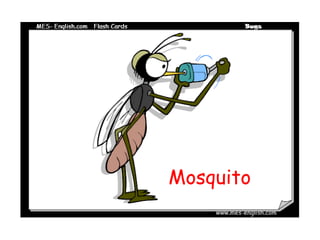 Insects in english (insetos em inglês) | PPT