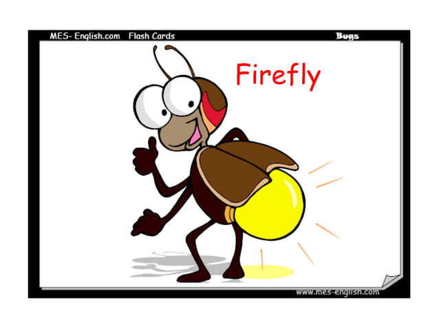 Insects in english (insetos em inglês) | PPT