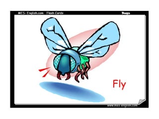 Insects in english (insetos em inglês) | PPT