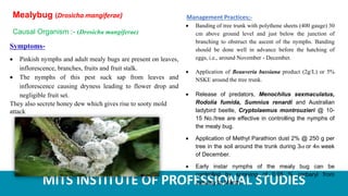 Insects in fruit crops | PPTX