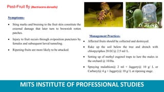 Insects in fruit crops | PPTX