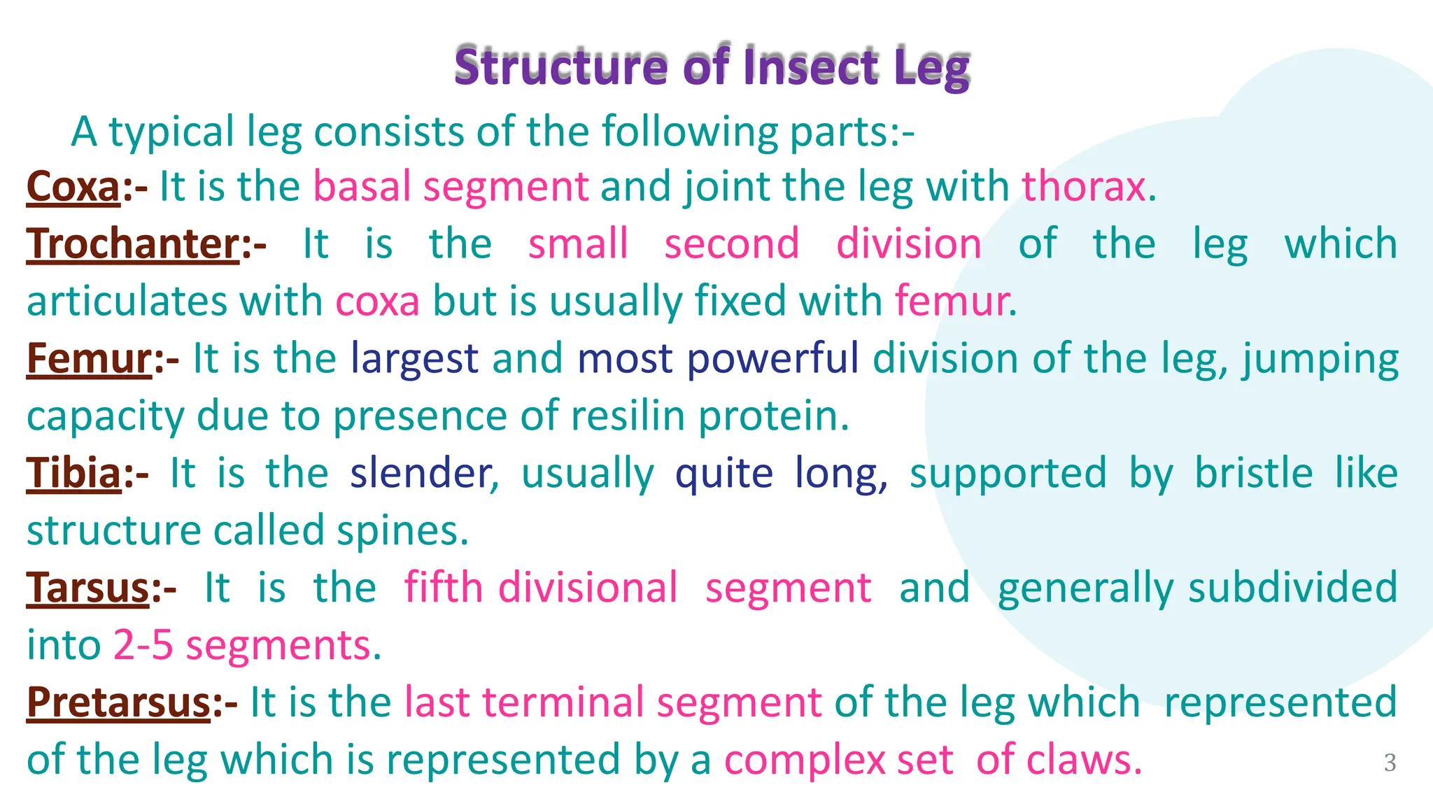 insects leg structure and modification.pptx