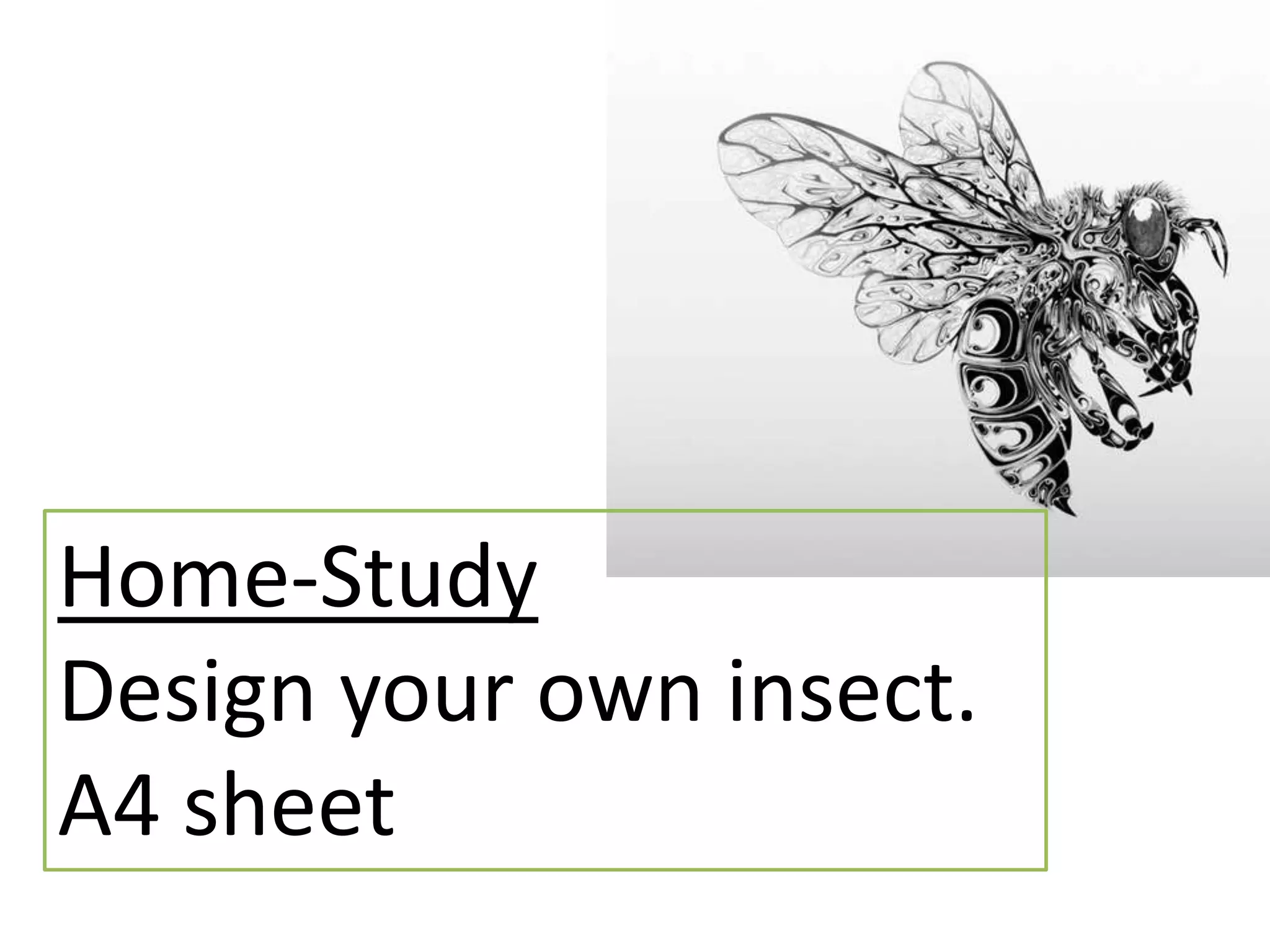 Insects lesson 1 | PPTX