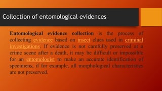 Insects of forensic importance & Aquatic entomology | PPTX