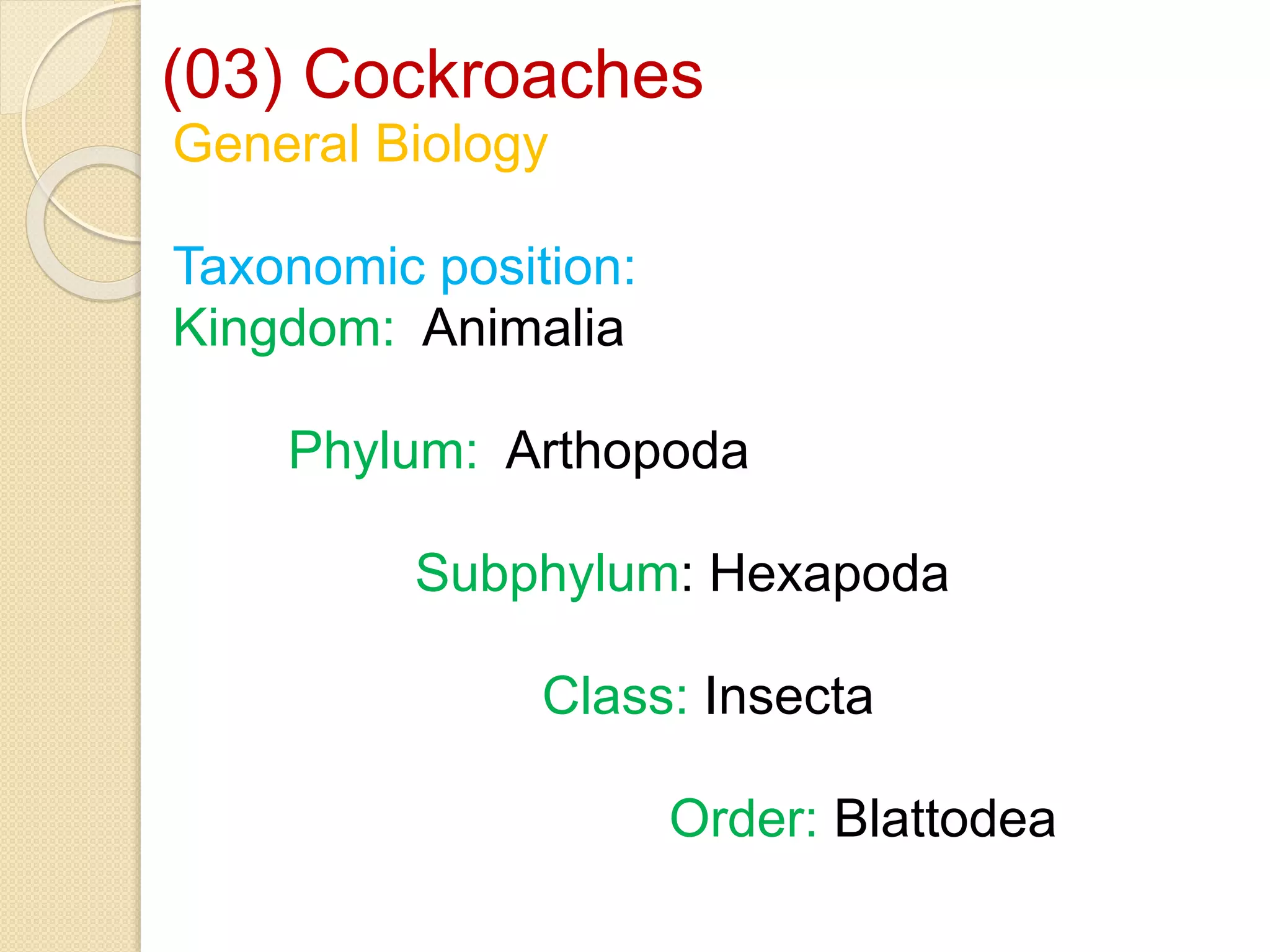 Insects of medical and veterinary importance | PPTX
