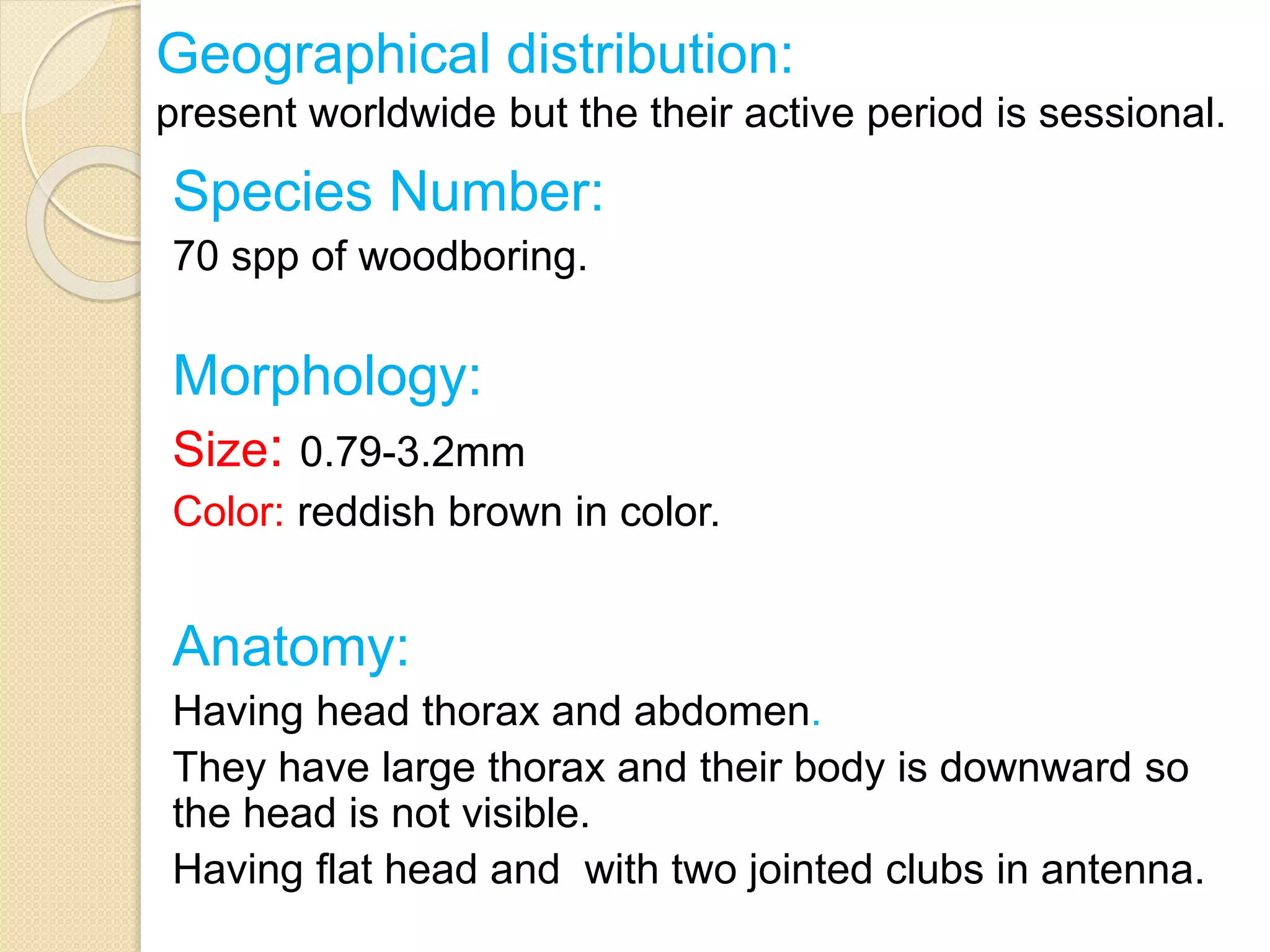 Insects of medical and veterinary importance | PPTX