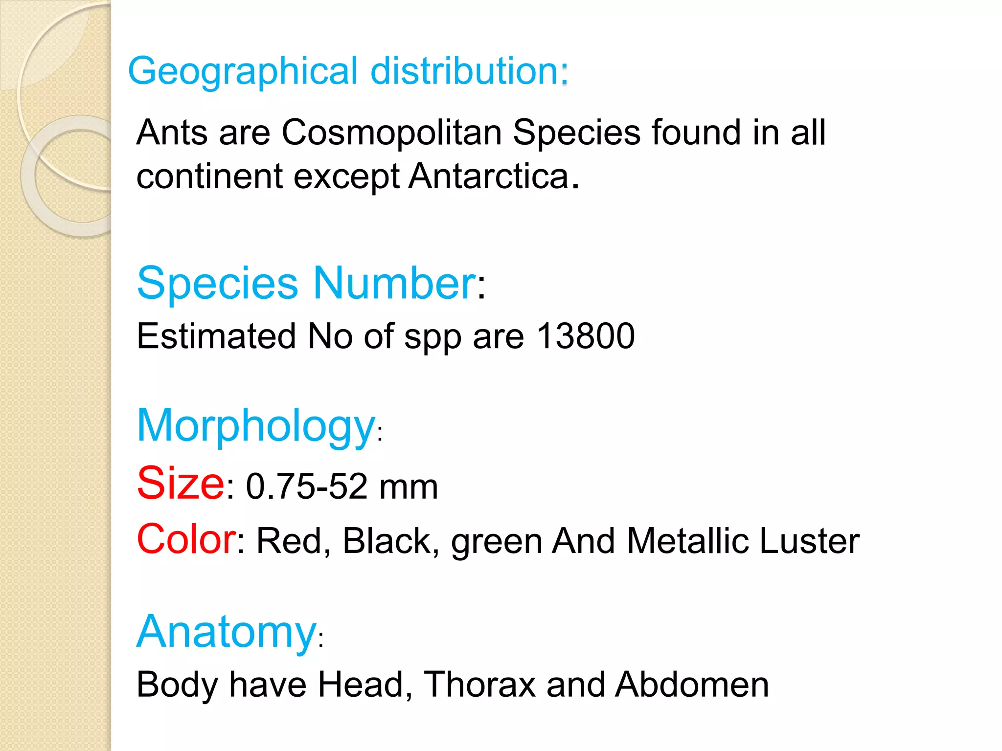 Insects of medical and veterinary importance | PPTX