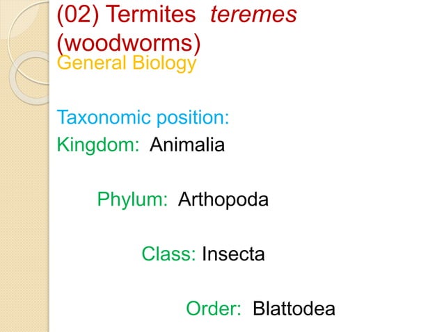 Insects of medical and veterinary importance | PPTX