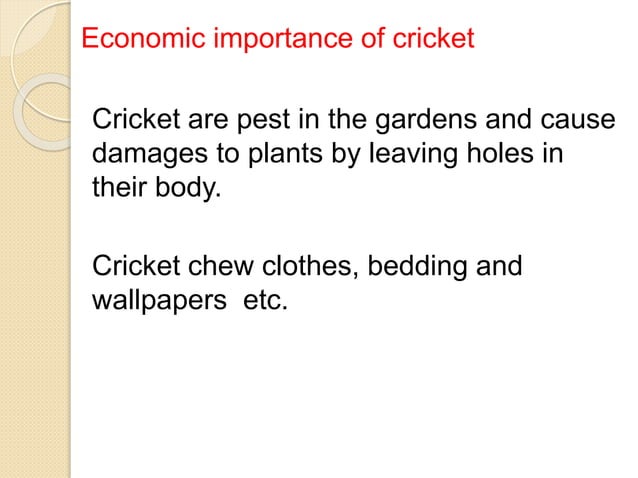 Insects of medical and veterinary importance | PPTX