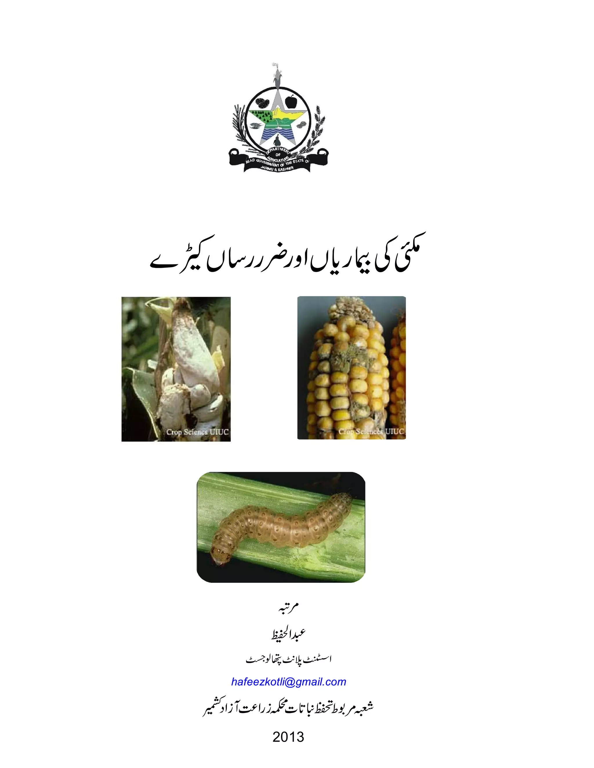 Insects pests of maize | PDF | Agriculture | Industries